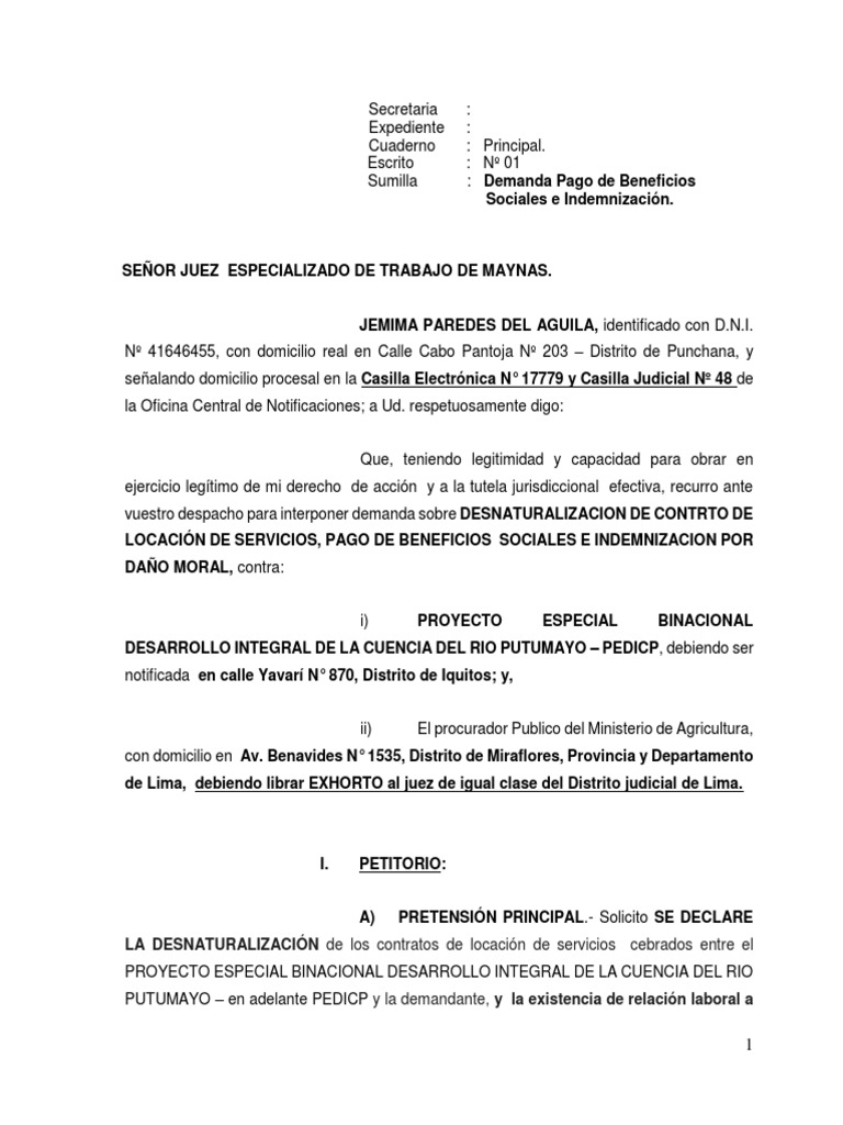 Demanda Laboral | PDF | Derecho laboral | Derecho Constitucional