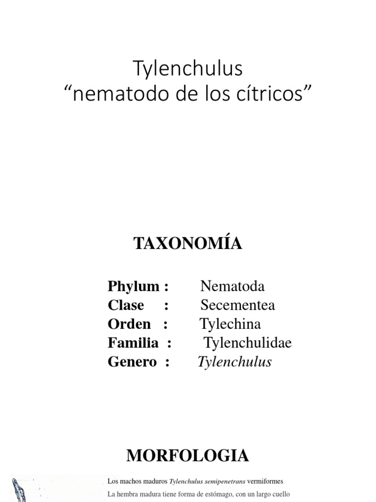 Tylenchulus | PDF