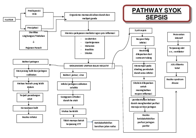 Clinical Pathway Syok Sepsis | PDF