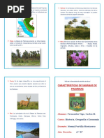 Sabana de Palmeras en Perú: Clima y Fauna | PDF | Clima | Suelo
