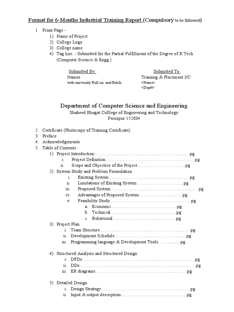 Industrial Training Report Format | Intellectual Works | Computing