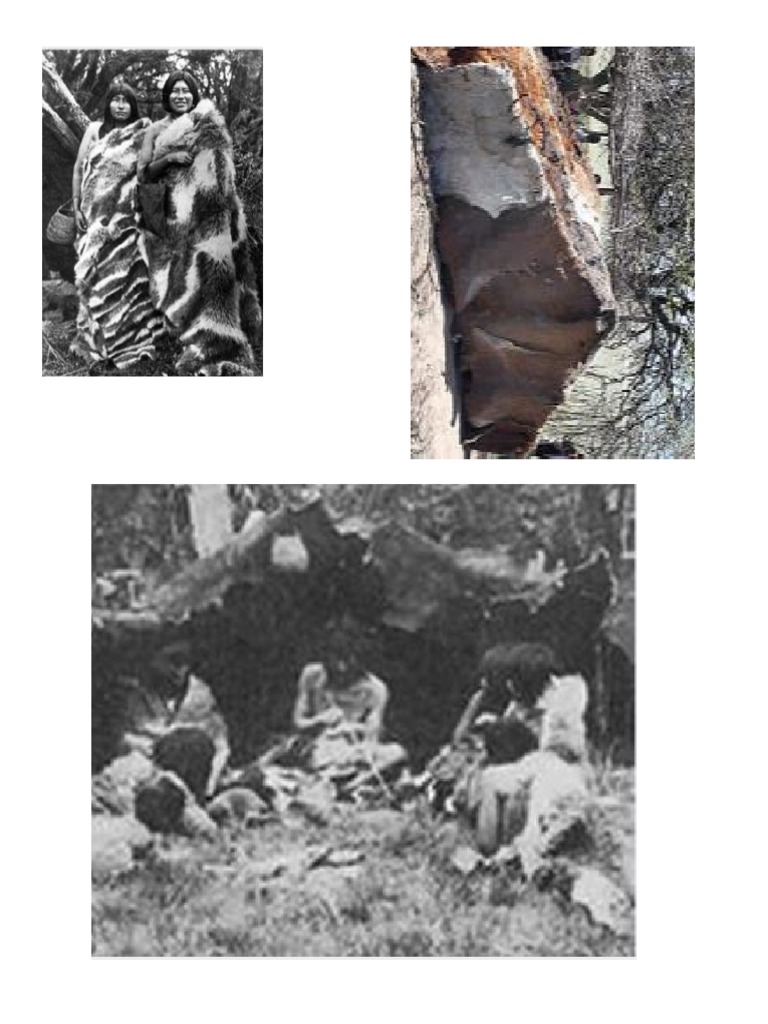 Los Poyas | PDF