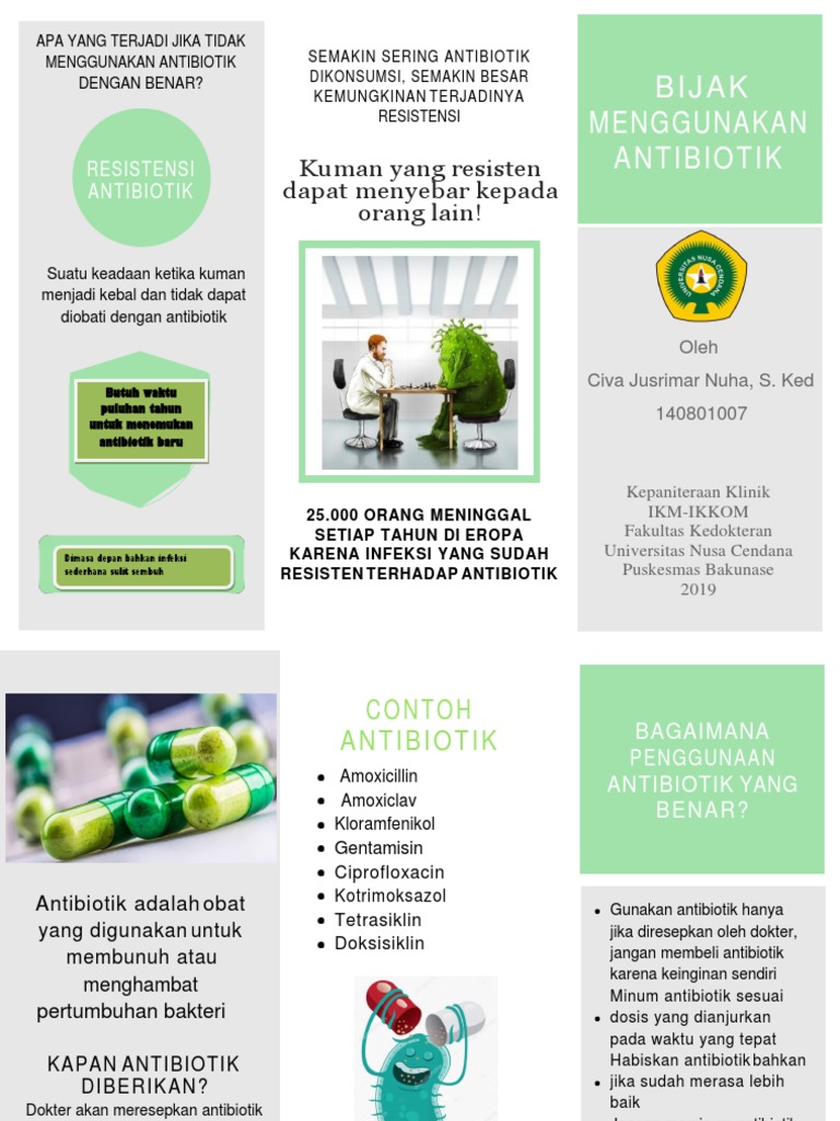 Leaflet Bijak Menggunakan Antibiotik | PDF