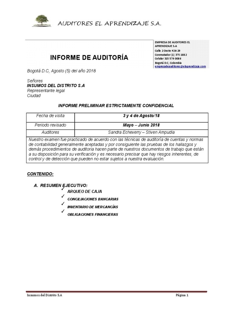Informe de Auditoría | PDF | Auditoría | Industrias de servicio