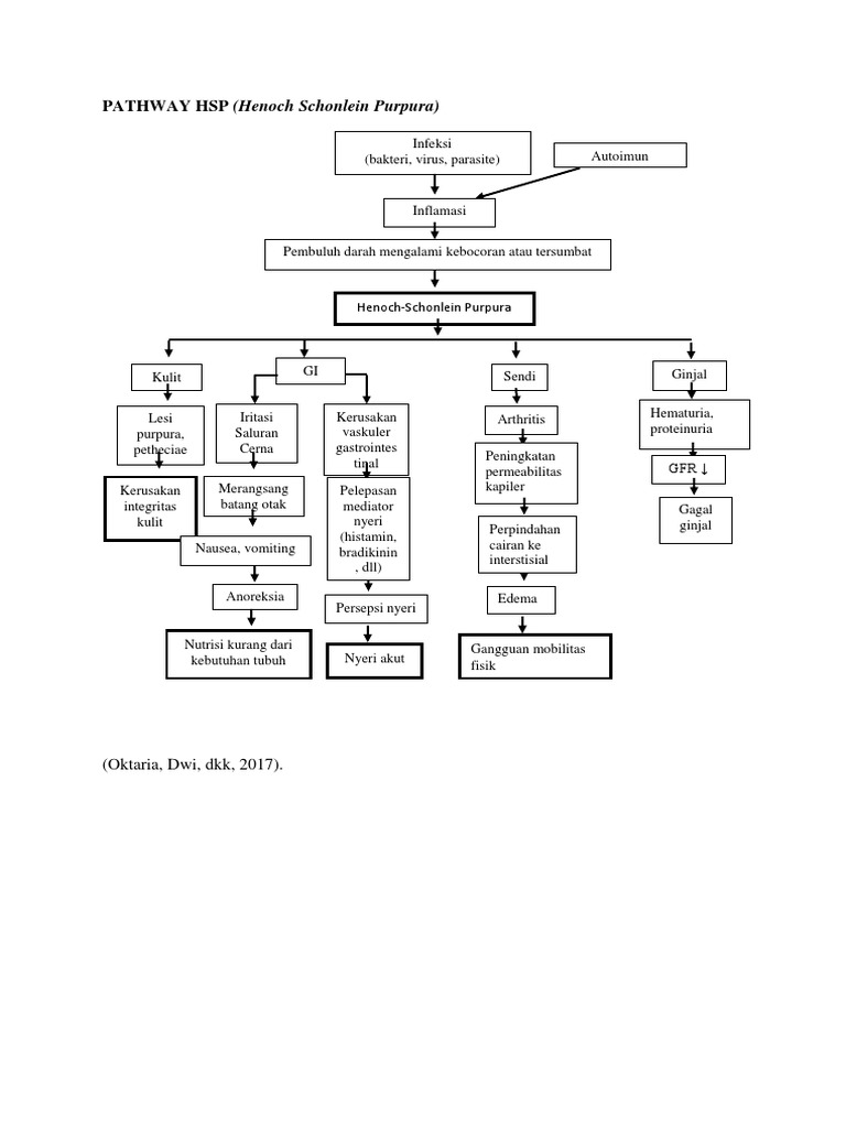 PATHWAY HSP Henoch Schonlein Purpura | PDF