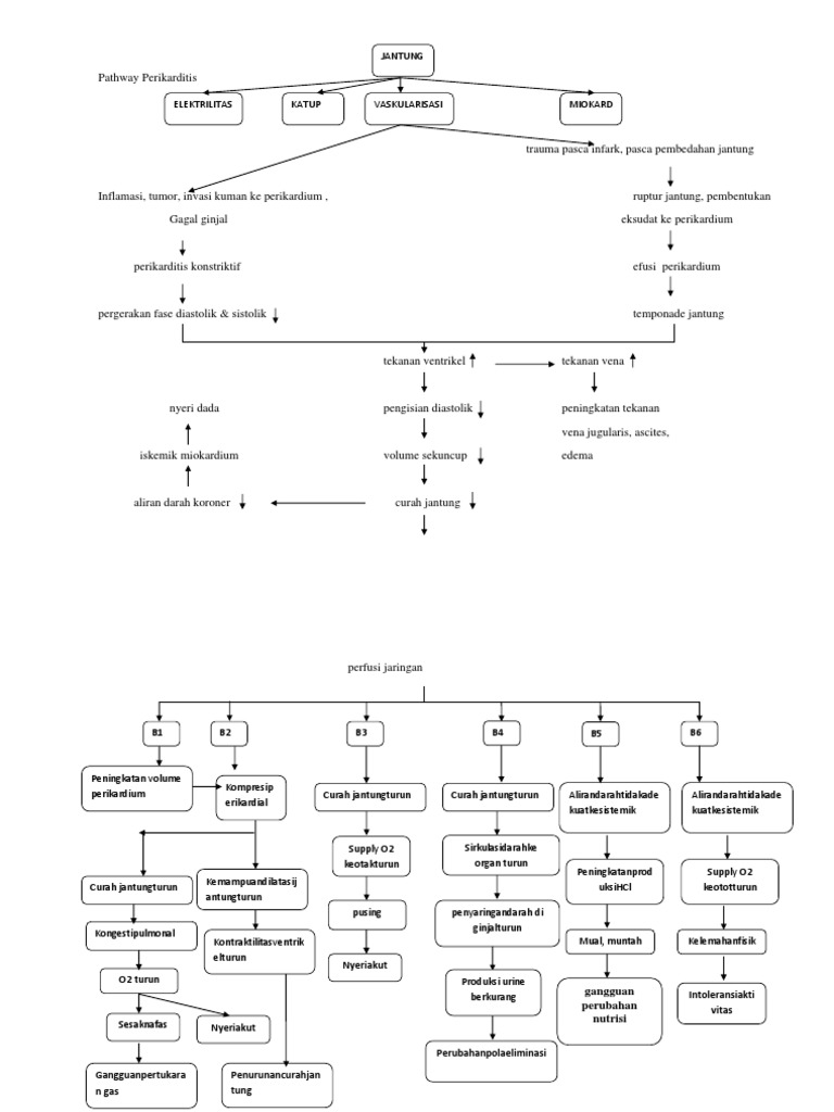 Pathway Perikarditis Kel 4 | PDF