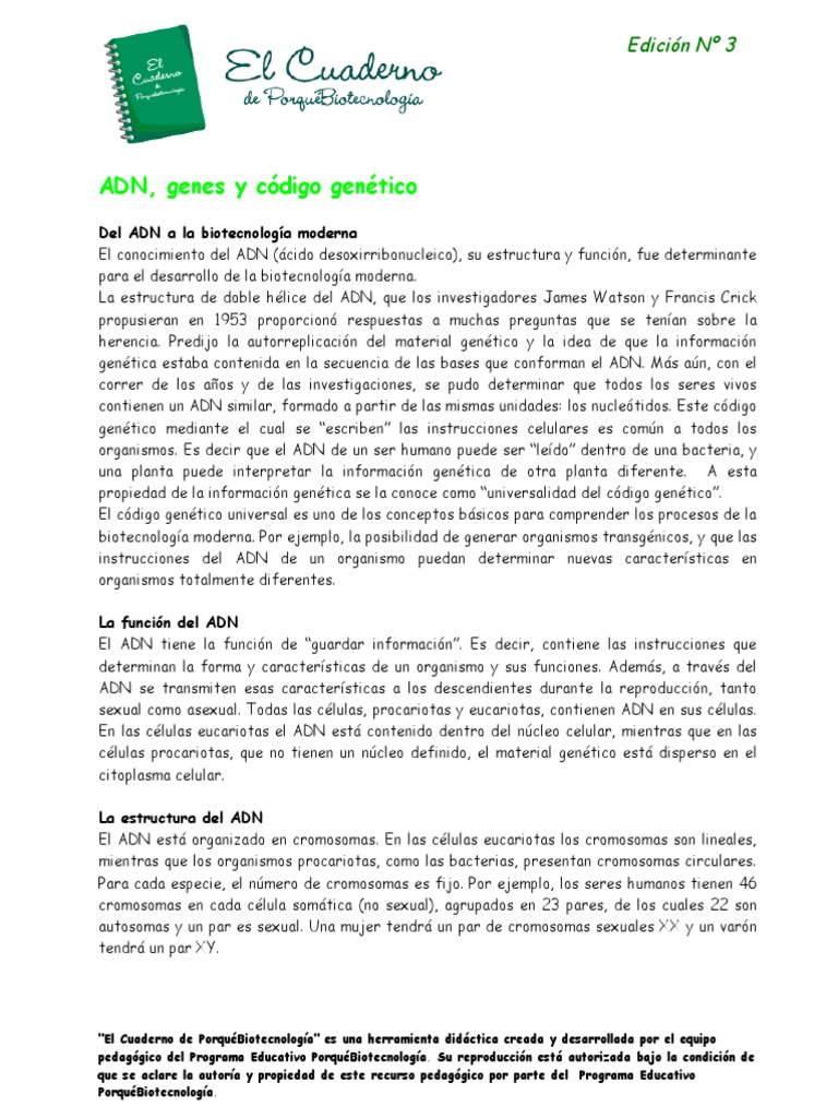 ADN, Genes y Proteínas | PDF | Adn | Rna
