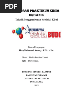 Uji Sensitivitas Antimikroorganisme Dengan Metode Dilusi | PDF