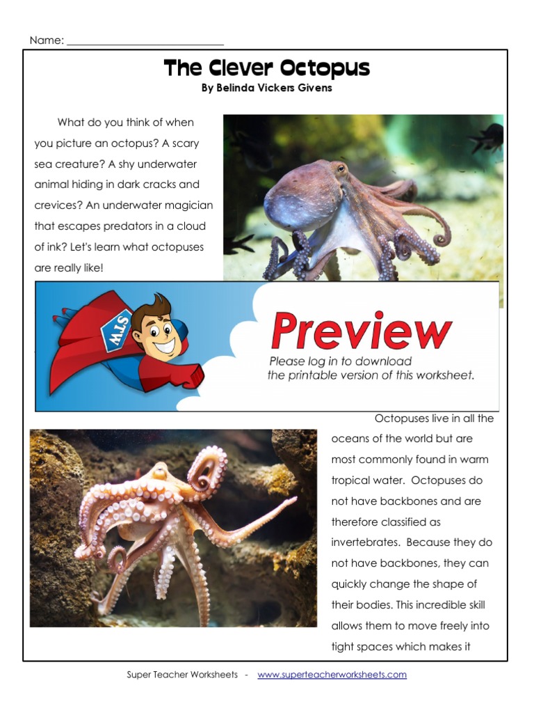 Fun Facts About the Clever Octopus | PDF | Octopus | Predation