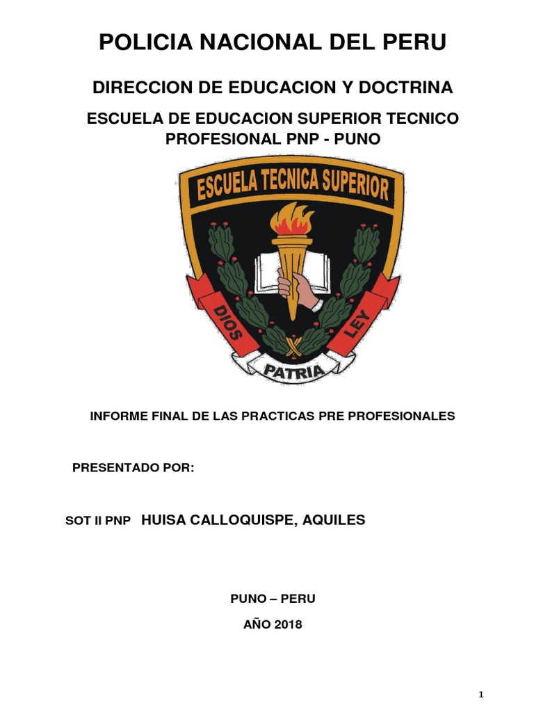 Informe PNP Practica PDF | PDF | Policía | Perú