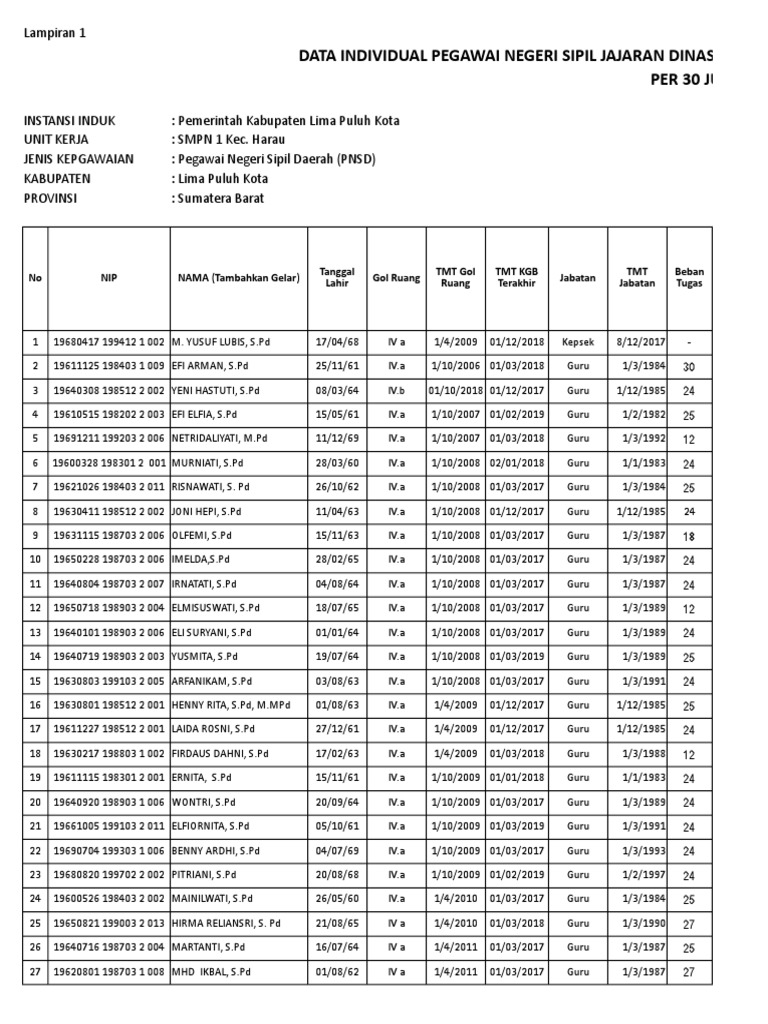 Data Individual PNS 2019 | PDF