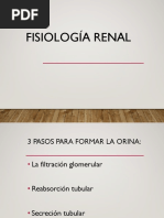Reflejos Osteotendinosos (Rot) | PDF