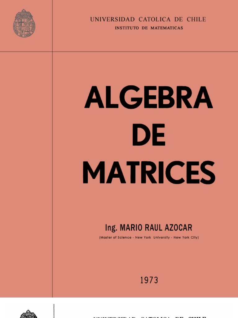 Algebra de Matrices | PDF
