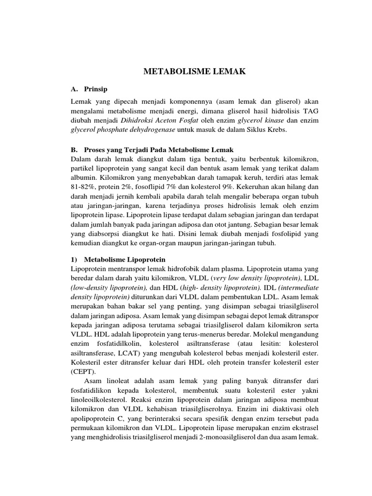 Metabolisme Lemak | PDF