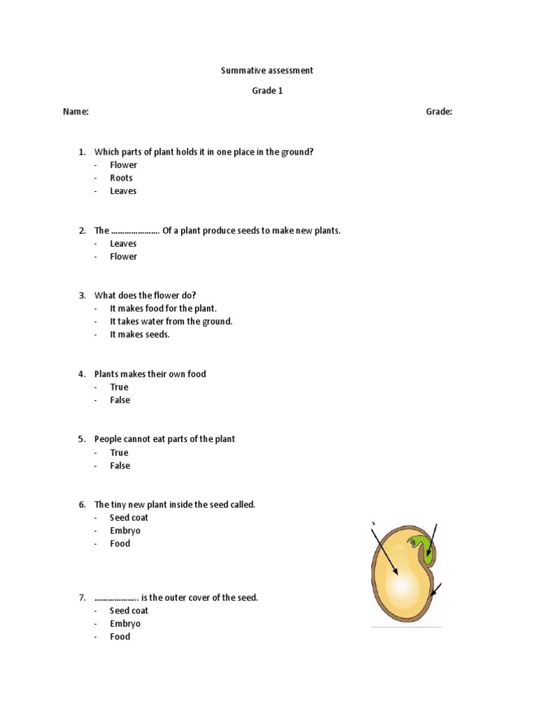 Plant Parts Assessment for Grade 1 | PDF