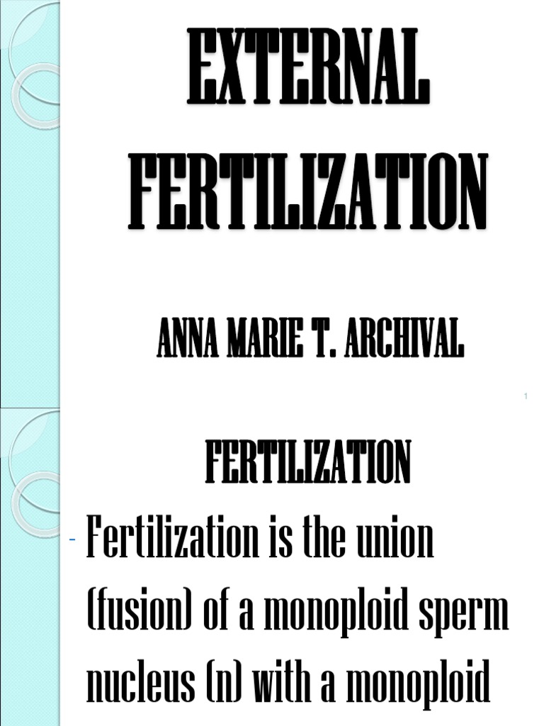 External Fertilization | PDF