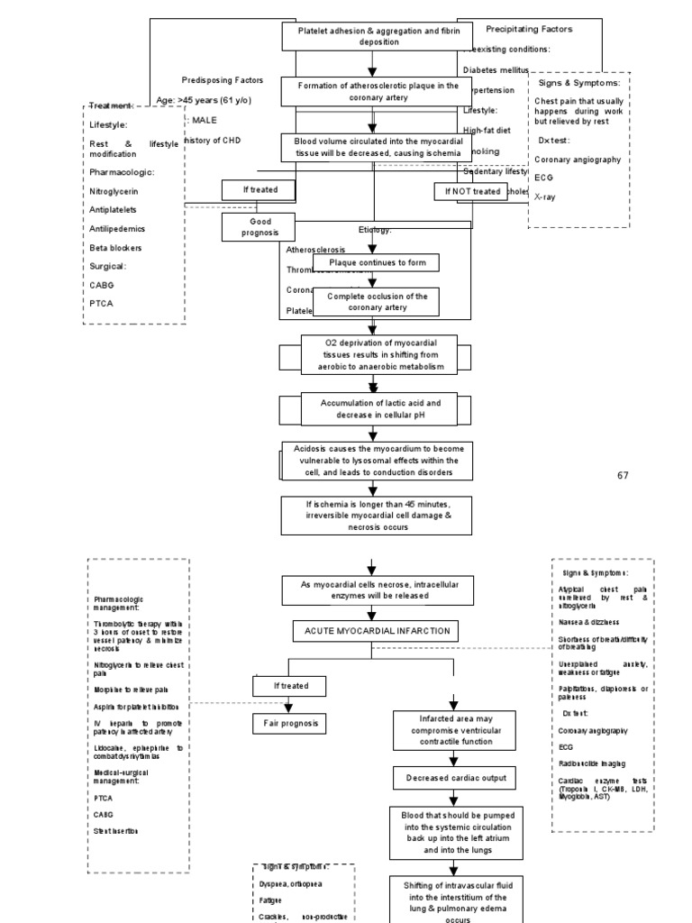 Patho Diagram MI | PDF | Myocardial Infarction | Cardiology