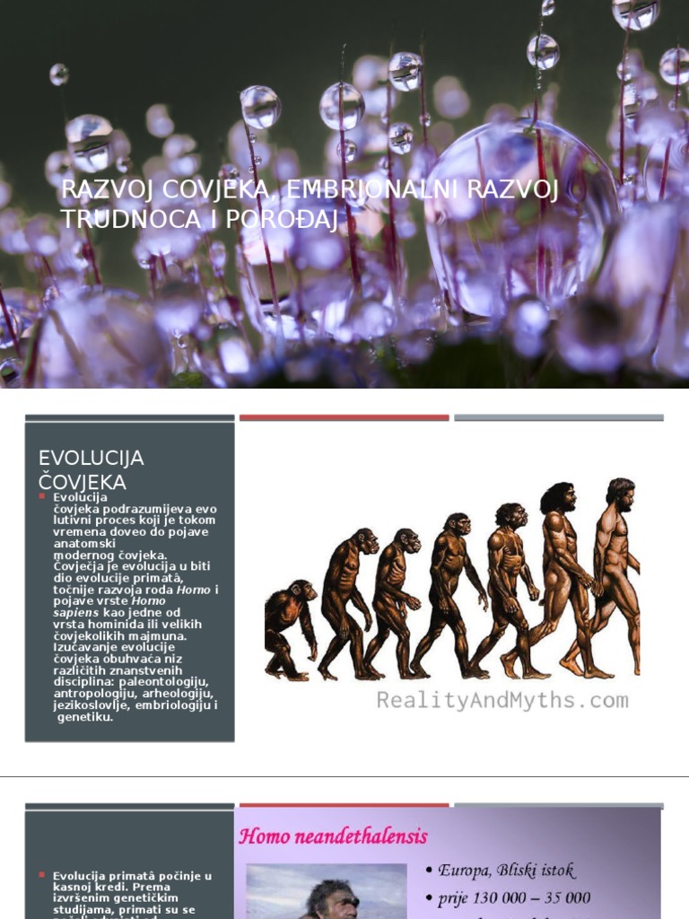 Presentation 5 | PDF