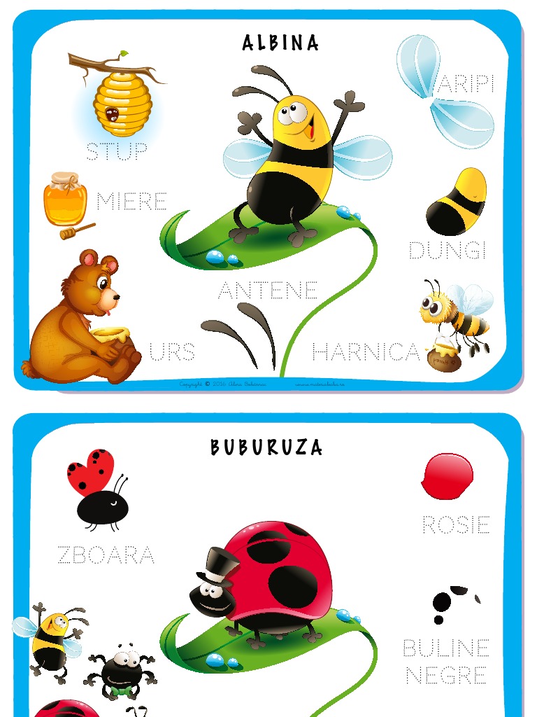 Spune Mi Despre Insecte PDF | PDF