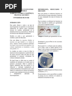 Métodos para Cultivo Axénico en Microbiología | PDF