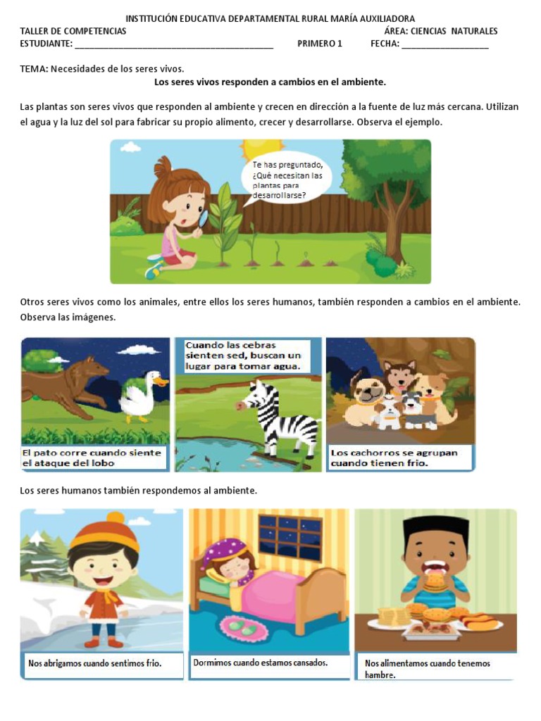 Necesidades Basicas De Los Seres Vivos