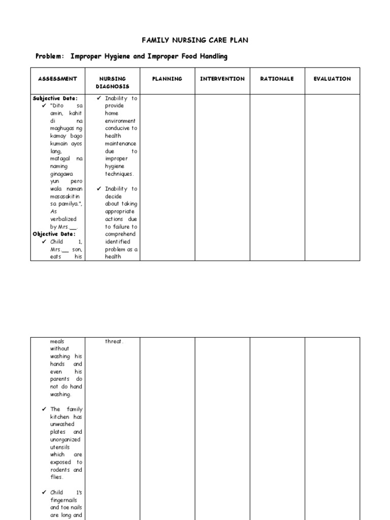 Family Nursing Care Plan for Hygiene Issues | PDF | Self-Improvement