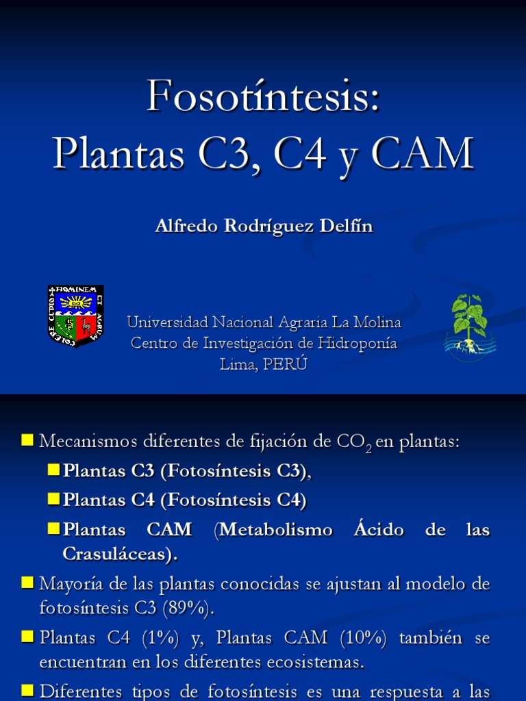 Plantasc3 C4 Cam | PDF | Fotosíntesis | Plantas