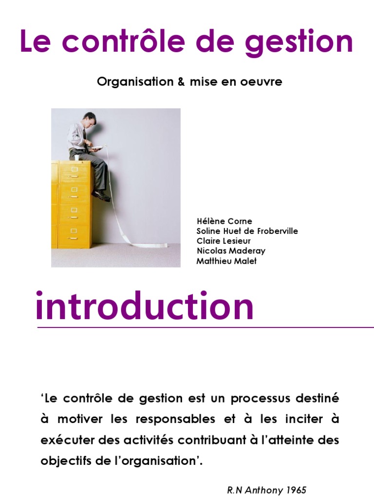 Orga | PDF | Audit | Audit interne