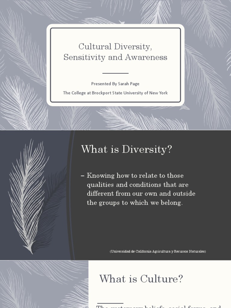 Cultural Sensitivity Training Overview | PDF | Cultural Diversity ...