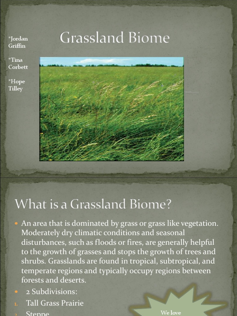 Grassland | PDF | Grassland | Prairie