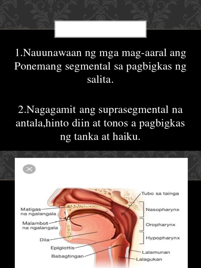 Suprasegmental | PDF