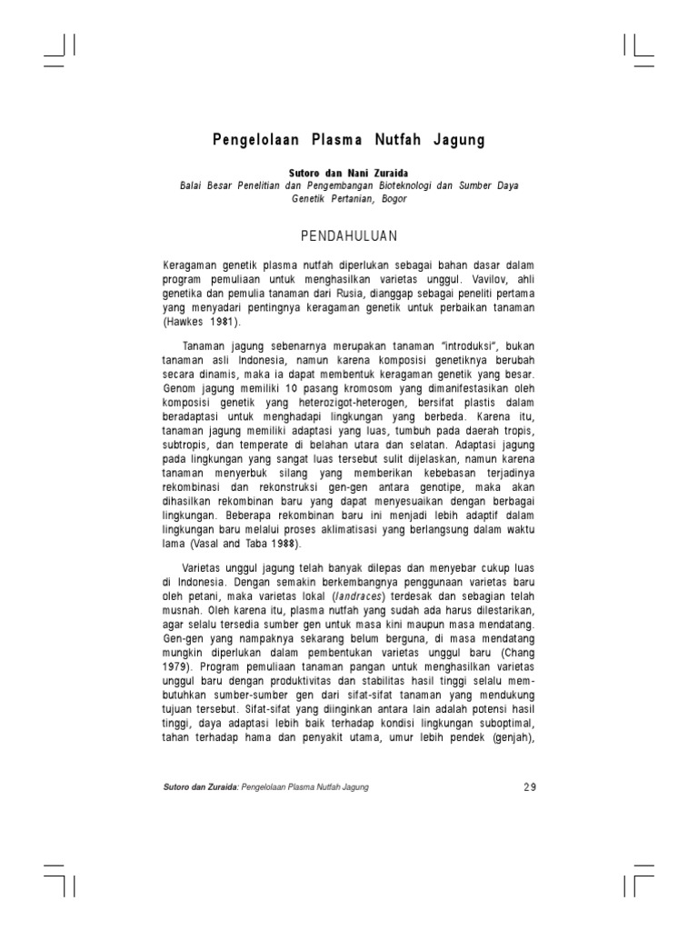 Plasma Nutfah Jagung PDF | PDF | Kesehatan Holistik | Sains & Matematika