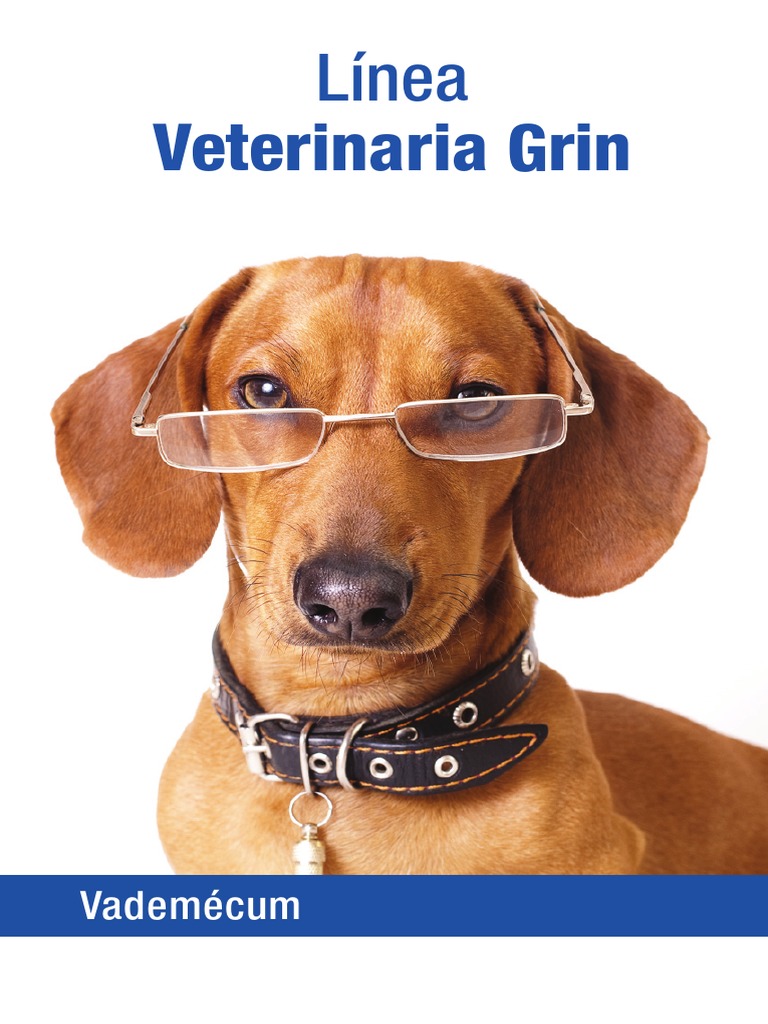 Vadecumveterinario GRIN PDF | PDF | Bacterias Gram-negativo | Las bacterias