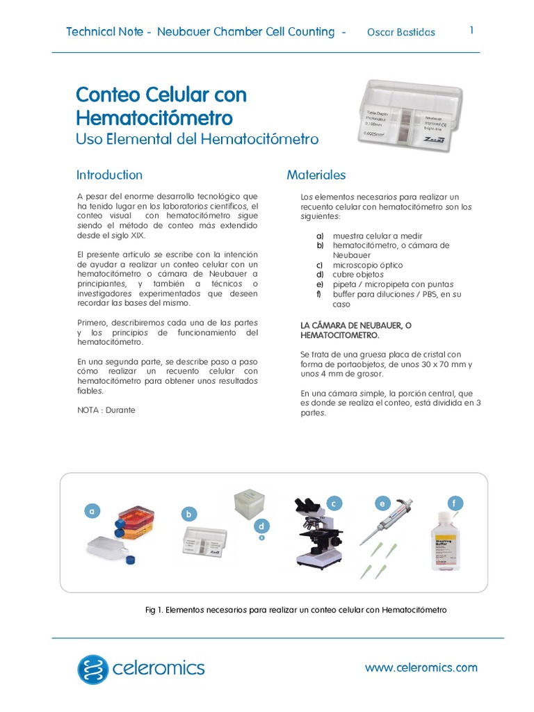Conteo Camara Neubauer PDF | PDF | Biología Celular) | Naturaleza