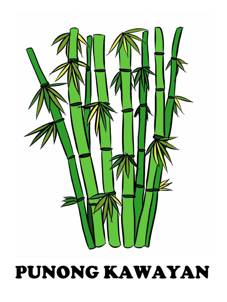 Punong Kawayan | PDF