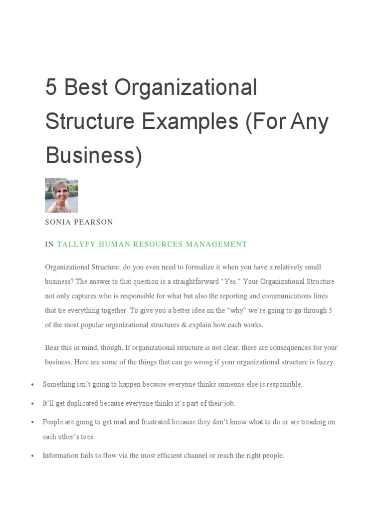 5 Best Organizational Structure Examples | PDF | Organizational ...