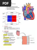 Anatomy and Physiology Science Olympiad 2024 Cheat Sheet | PDF ...