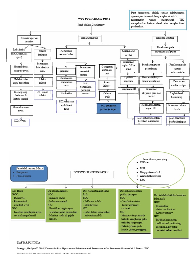Woc Post Craniotomy | PDF