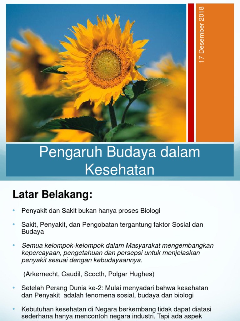 Sesi 2. Pengaruh Budaya Dalam Kesehatan | PDF