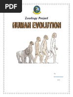 Investigatory Project | PDF | Homo | Human Evolution