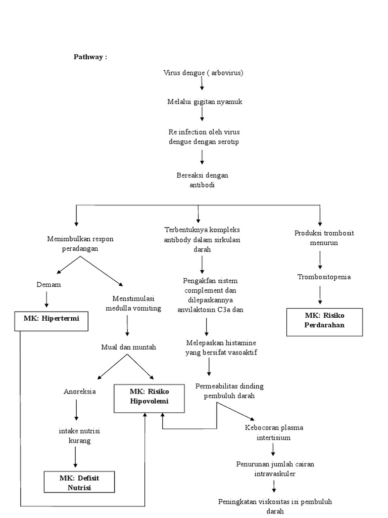 Patway DHF Fix | PDF