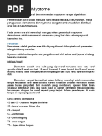 Peta Dermatome dan Inervasi Saraf | PDF