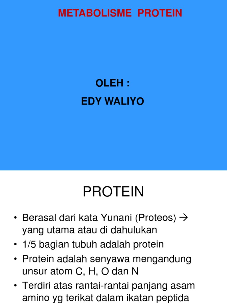 Metabolisme Protein | PDF