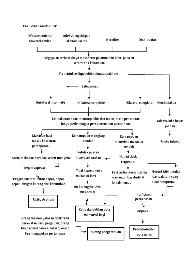 Pathway Labio | PDF