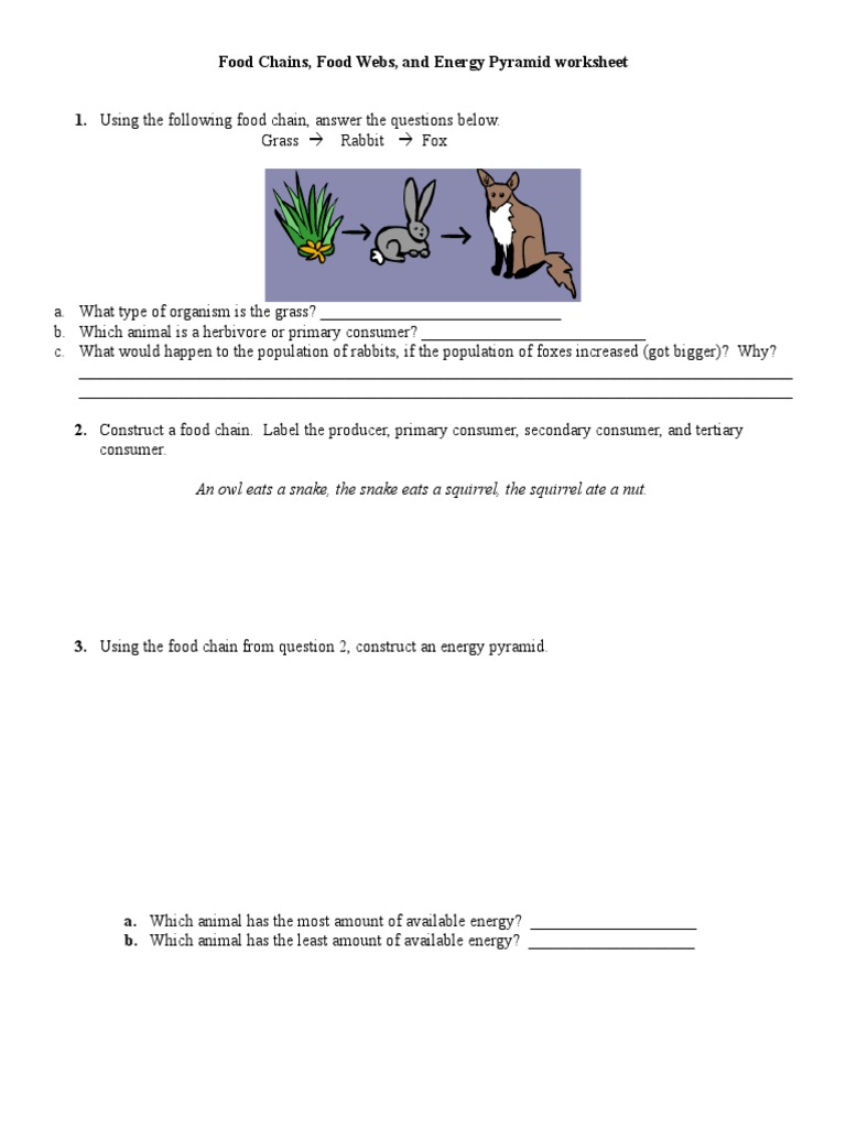 Food Chains Food Web and Energy Pyramid Worksheet | PDF