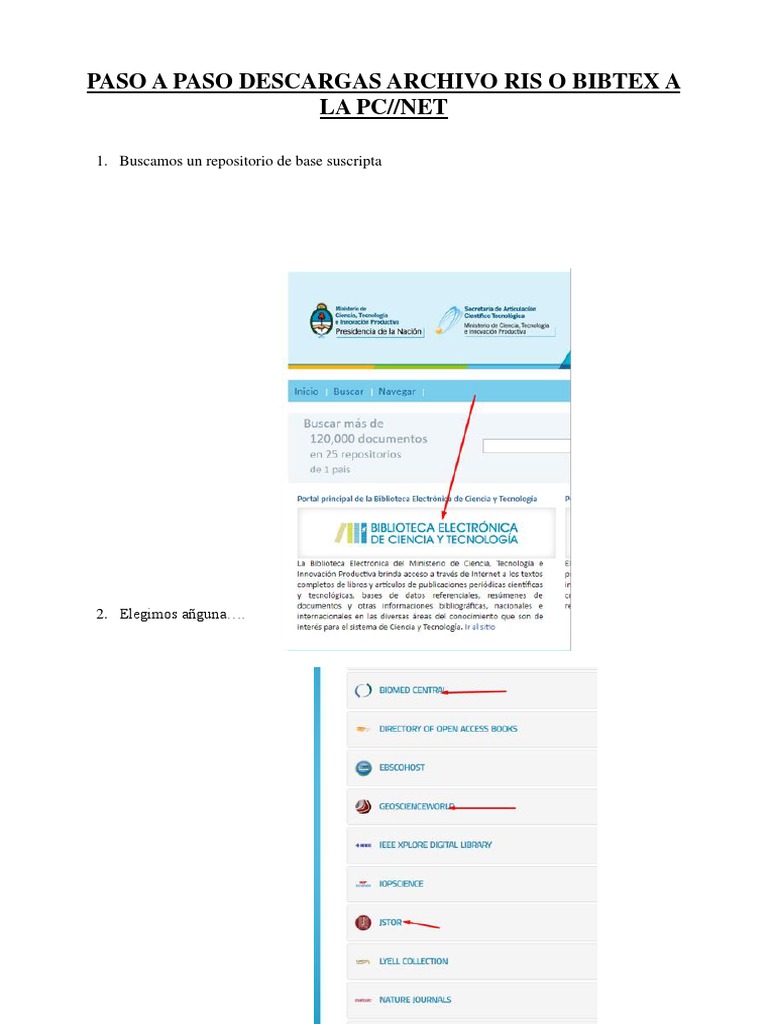 Guía para Descargar Archivos RIS/BibTeX | PDF