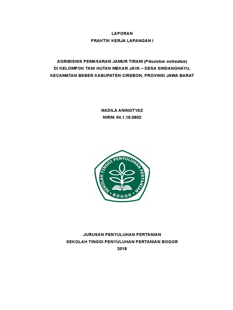 Laporan PKL I (Print) | PDF