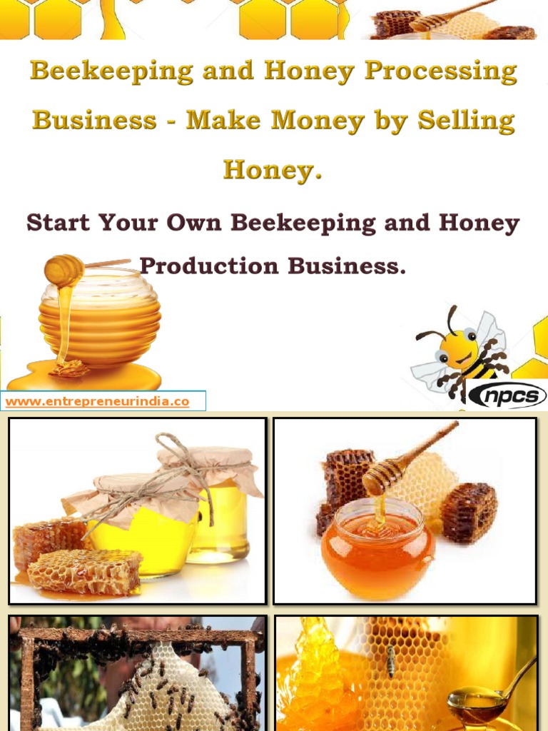 Beekeeping and Honey Processing Business - Make Money by Selling Honey ...