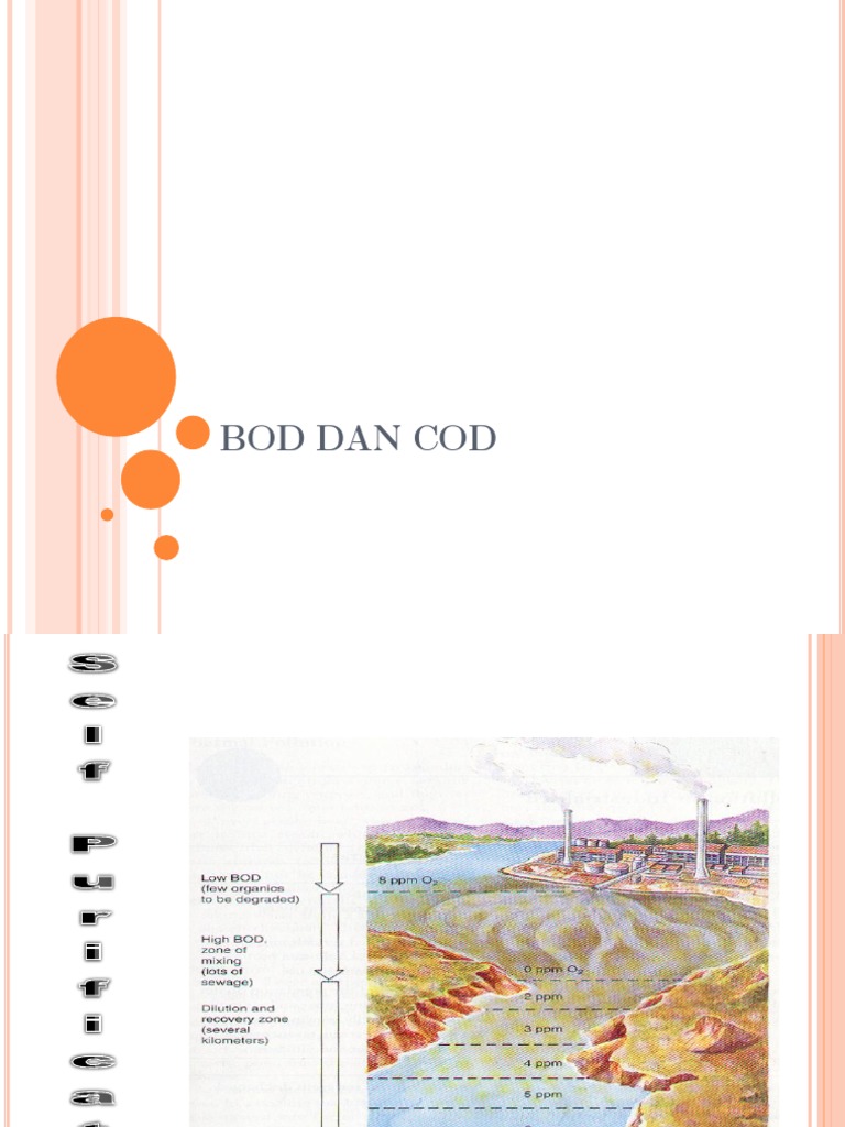 Bod Dan Cod PDF | PDF