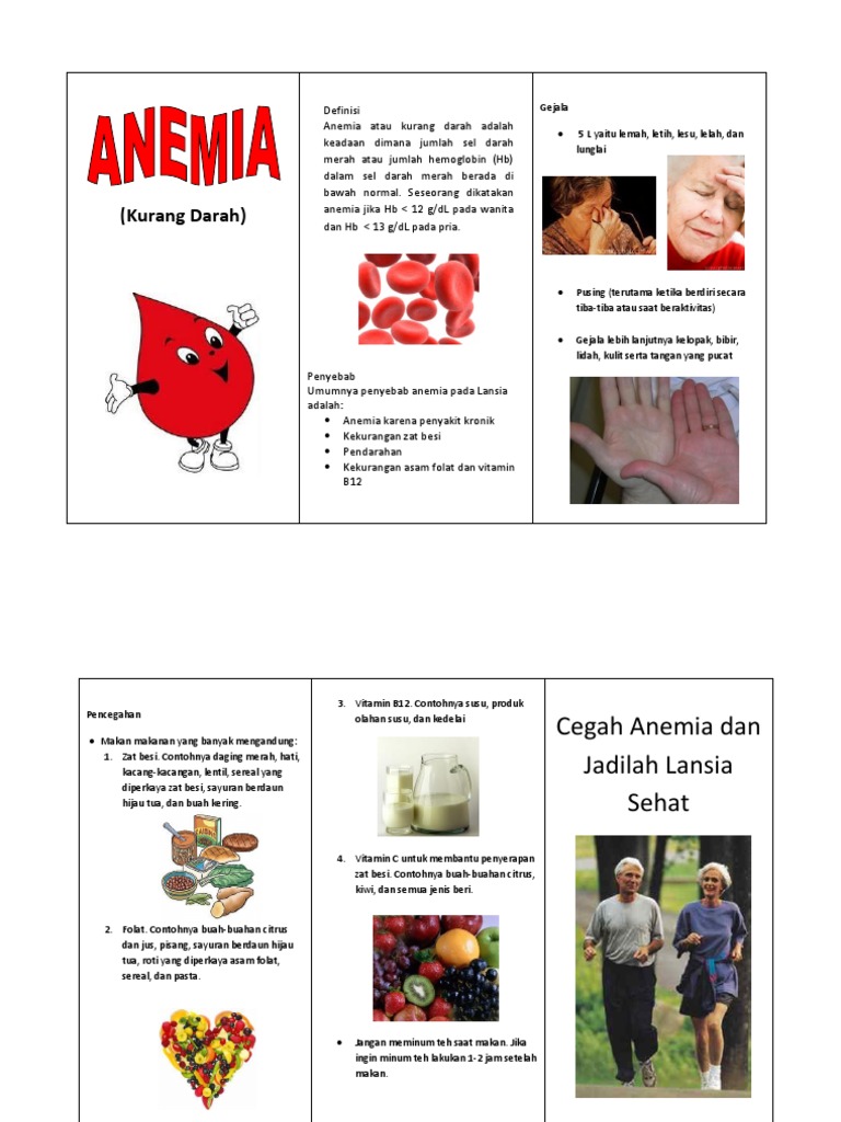 Leaflet Anemia | PDF
